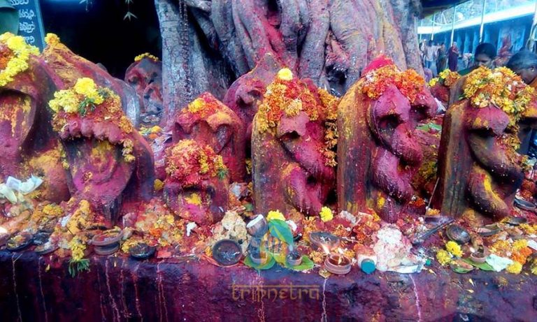 Rahu Ketu Pooja - Temples, Darshan Timings,Ticket cost, Benefits