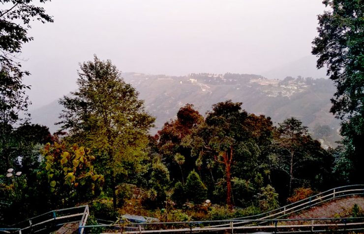 Padmaja Naidu Himalayan Zoological Park - History,Timings, Ticket Price