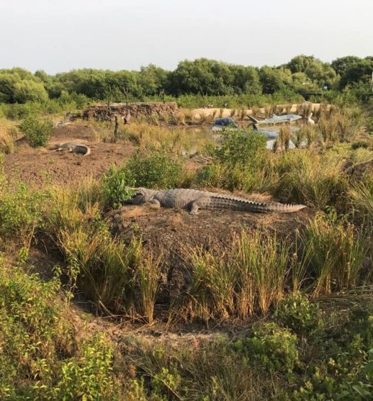 Sangameshwarar Temple – Bhavani, Timings, Pooja Timings, Pooja Details,