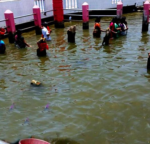 Tenkasi Temple – History, Pooja Timings, Address, Festivals