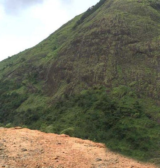 Cherai Beach Kerala - History, Timings, Entry Fee, Attractions, Activities