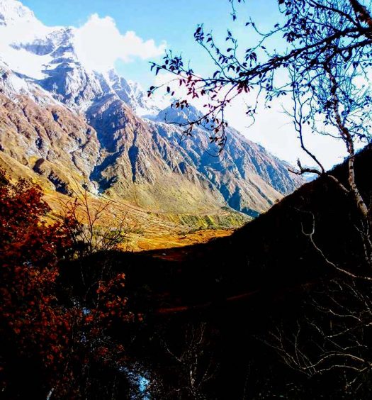 Nanda Devi national park - Timings ,Entry fees, Trekking, Online Booking