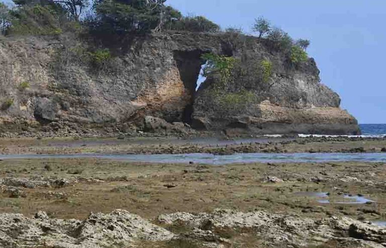 Great Nicobar Island- Tourist Places in Nicobar Islands