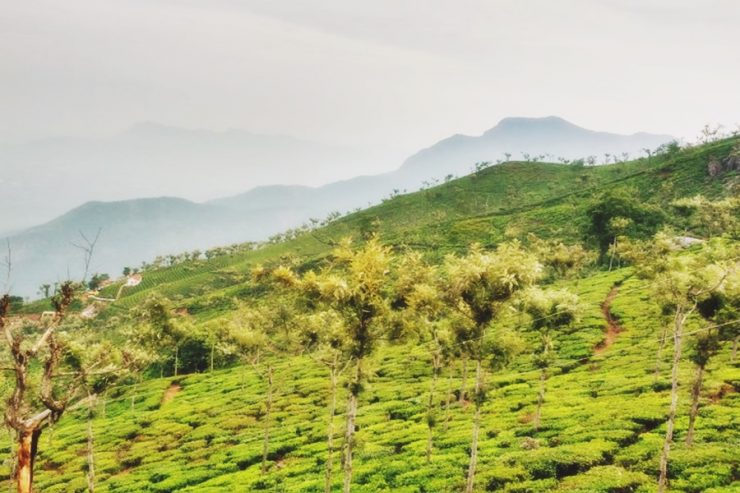 Places to Visit in Coonoor- Best Places to Visit in Coonoor