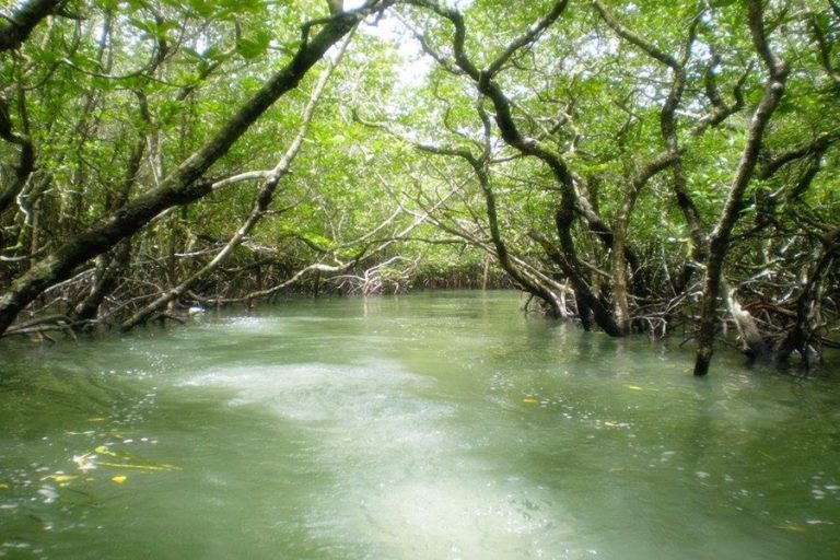 Great Nicobar Island- Tourist Places in Nicobar Islands