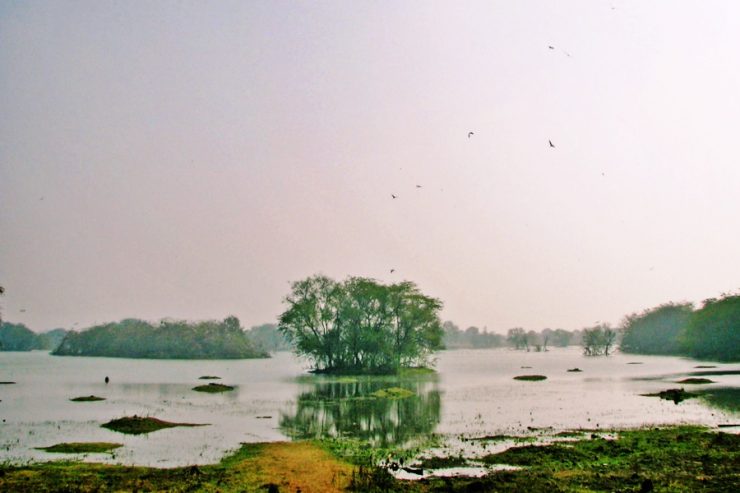 Sultanpur National Park | Entry Fee, Timings, Best Time to Visit