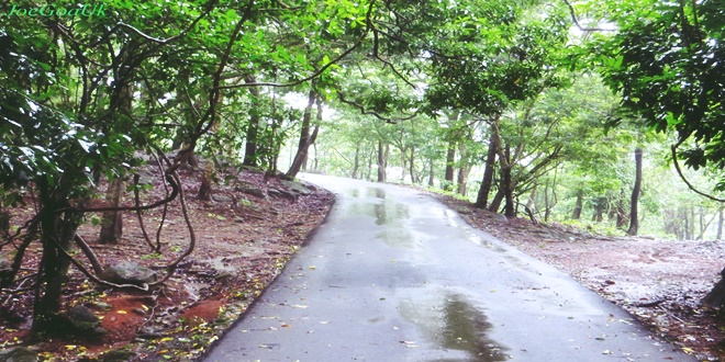 Bondla Wildlife Sanctuary in Goa | Bondla ZOO Information