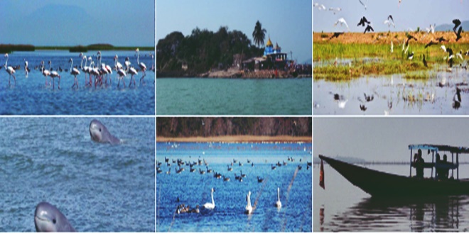 Puri to Chilka Lake Tour Packages Online Booking